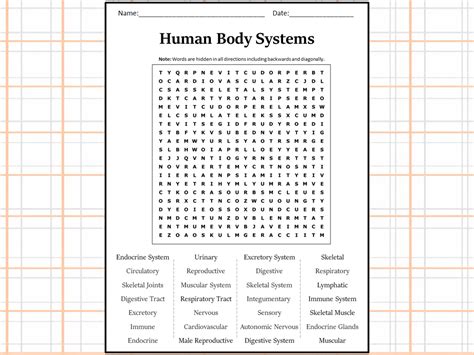 Human Body Systems Word Search Puzzle Worksheet Activity
