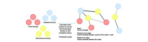 construction of vector based semantic similarity networks download scientific diagram