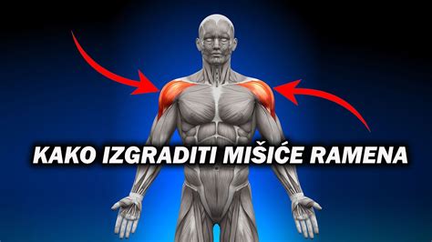 TRENIG ZA RAMENA U TERETANI GYM PART 1 YouTube