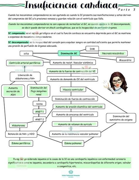 Insuficiencia Cardiaca IC Parte 3 IC Compensada IC