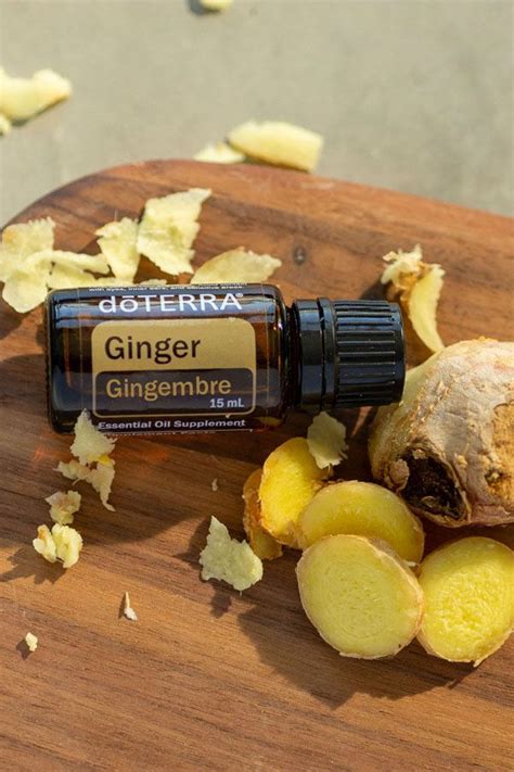 Huile de gingembre Ginger Oil Huiles essentielles dōTERRA in 2024