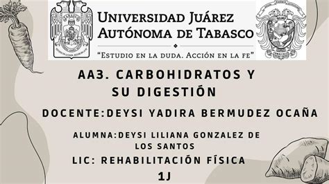 Carbohidratos y su digestión Deysi Gonzalez uDocz