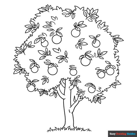 Orange Tree Coloring Page Coloring Pages The Best Porn Website