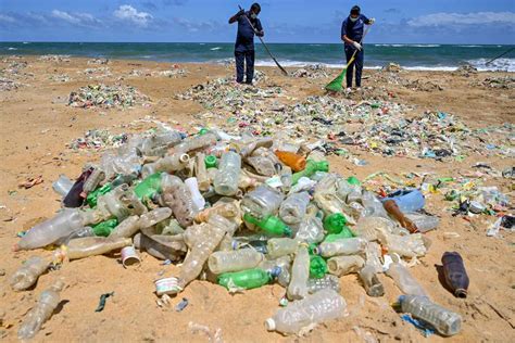 Poluição plástica afeta 88 das espécies marinhas diz ONG 08 02 2022