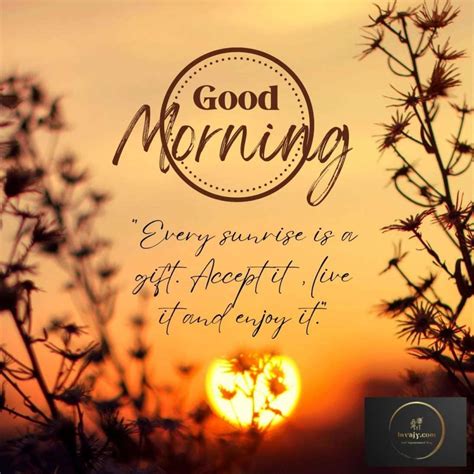 Find Inspiration In These Deep Meaningful Good Morning Life Quotes