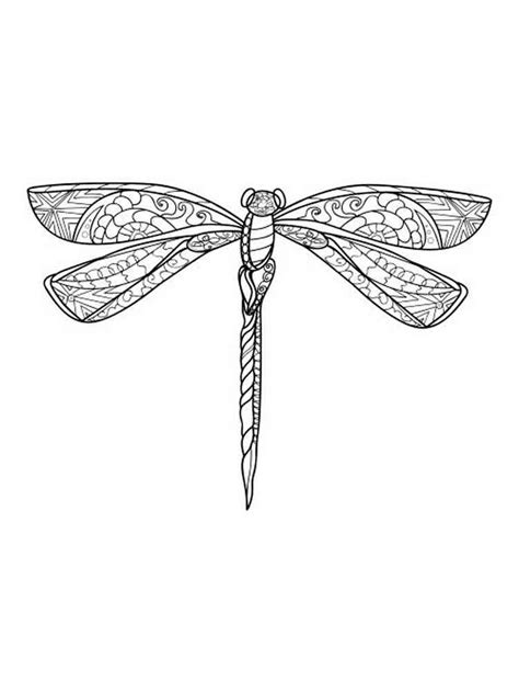 Dragonfly Coloring Pages For Adults
