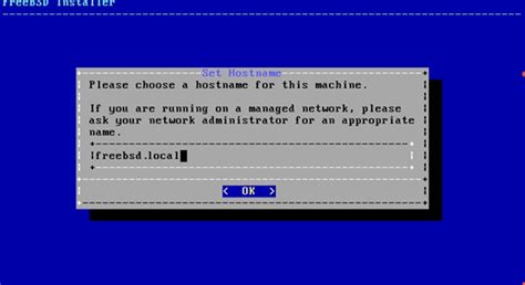 How To Install Freebsd Know Step By Step Guide To Install Freebsd