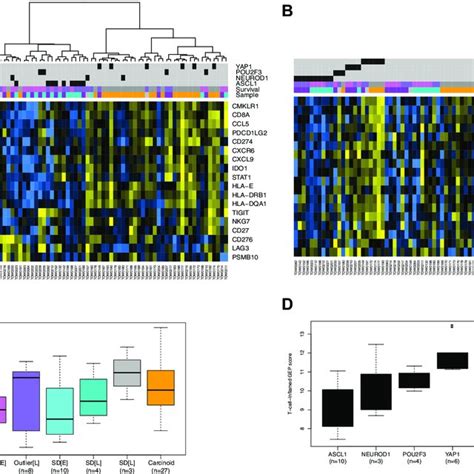 gene expression of 59 neuroendocrine pulmonary tumors a supervised download scientific