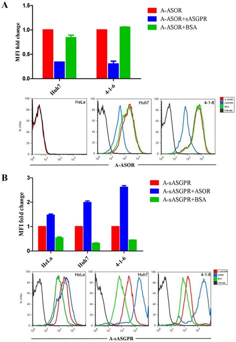 Ligands Binding Assay The Binding Of Fluorescence Labeled A Asor A