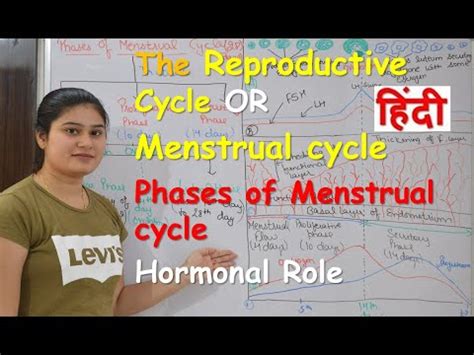 Reproductive Cycle In Hindi Menstrual Cycle Phases Hormones