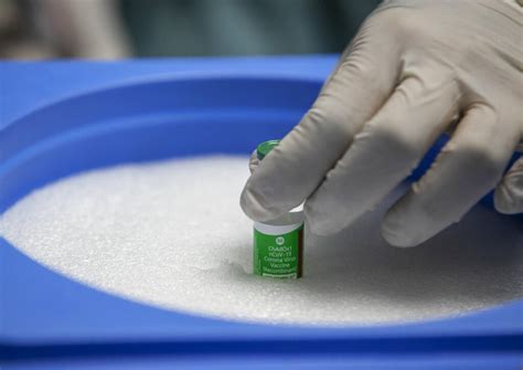 Fiocruz submete à Anvisa pedido de registro definitivo de vacina contra