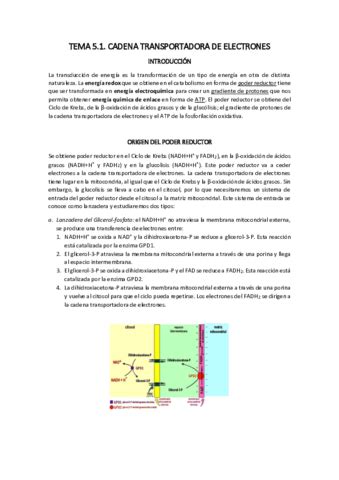 Cuaderno Practicas Bioquimica Pdf