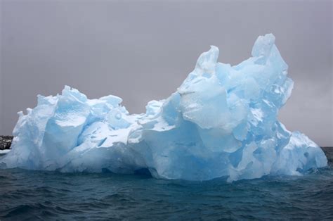All About Icebergs Beyond Penguins And Polar Bears