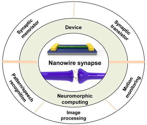 nanowire based synaptic devices for neuromorphic computing