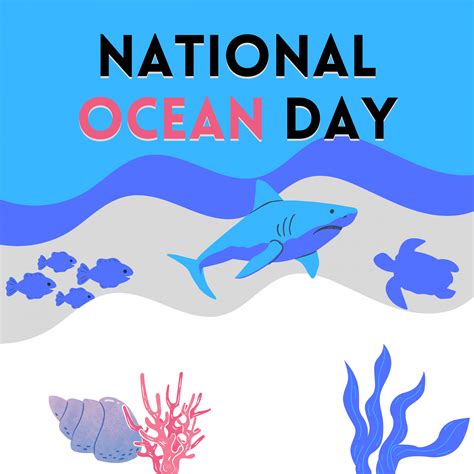 National Ocean Day 2024 Catie Melamie