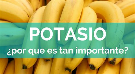 Razones Por Las Que Debes Consumir Alimentos Ricos En Potasio