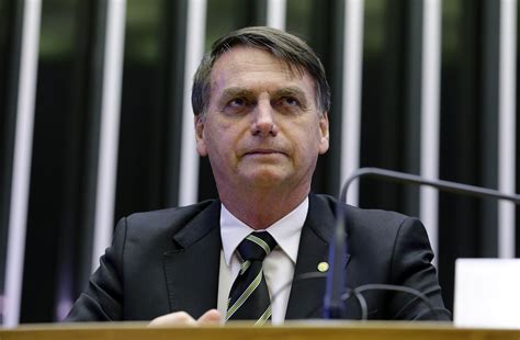 MPF Investiga Se Bolsonaro Importunou Intencionalmente Uma Baleia