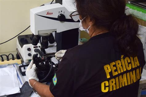 Per Cia Atesta Que Proj Til Encontrado Em Crian A N O De Arma Usada