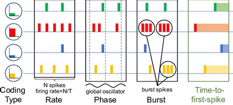 various neural coding methods download scientific diagram