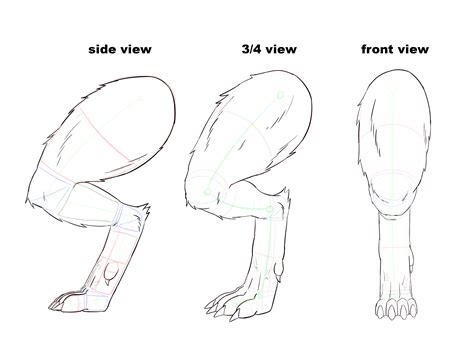 How To Draw A Werewolf Step By Step