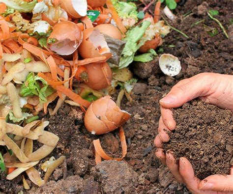 Conoce los tipos de tierra para tu jardín The Home Depot Blog