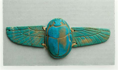 Unlocking The Scarab Beetle Meaning Mythology The Conscious Vibe