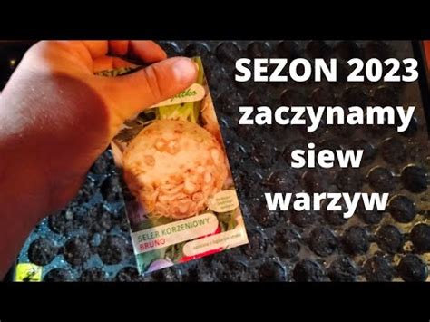 Jak I Kiedy Sia Seler Youtube