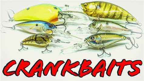 Buyer S Guide Deep Diving Crankbaits For Winter And Summer Bass