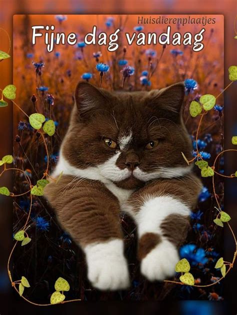 Pin On Allerlei Dagen Plaatjes Big Cats Art Cat Art Big Cats