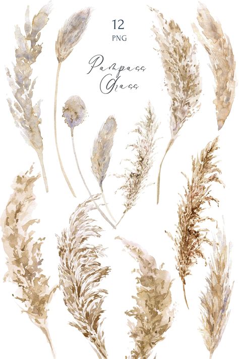 Pampas Grass Clipart Set Boho Watercolor Bohemian Wedding Etsy