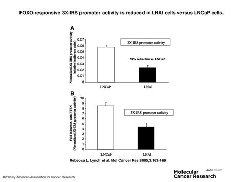 foxo responsive 3x irs promoter activity is reduced in lnai cells versus lncap cells foxo