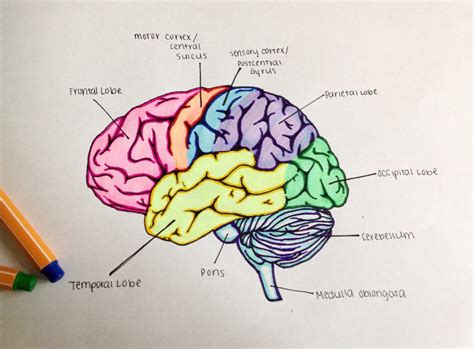 Studying More On Tumblr