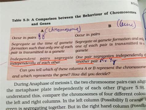 Table 5 3 A Comparison Between The Behaviour Of Chromosomes And Genes Oc