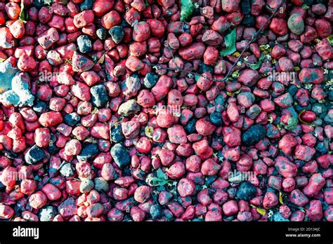 Lightweight Expanded Clay Aggregate Hi Res Stock Photography And Images