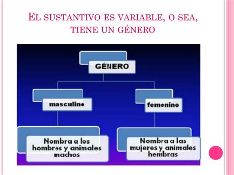 PPT SUSTANTIVO GÉNERO Y NÚMERO PowerPoint Presentation free