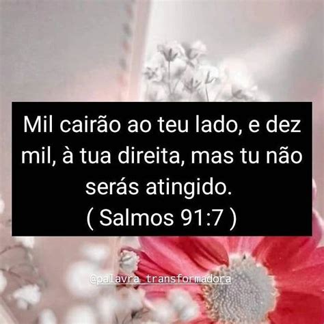 Palavra Transformadora On Instagram Boa Noite Sigam Palavra