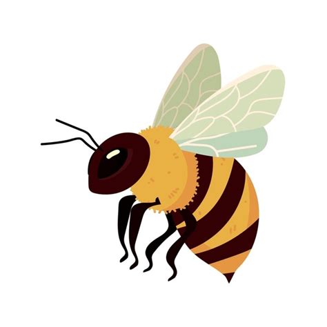 13 992 Bumblebee Flat Royalty Free Images Stock Photos Pictures