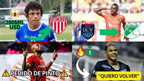 Pinto Quiere A YORELYS MENA Mantilla A NECAXA TEO QUIERE VOLVER
