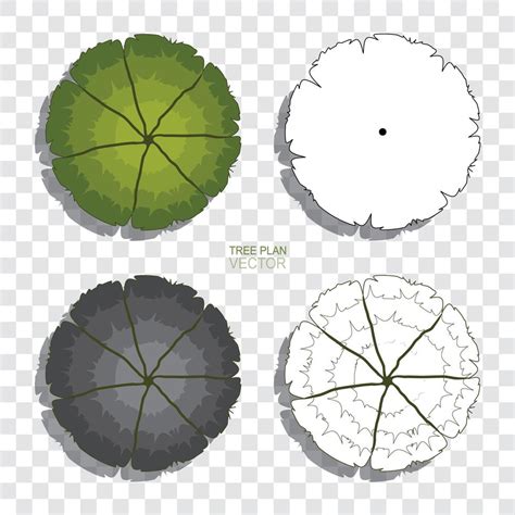 Tree Plan Abstract Drawing Sketch Set For Landscape Design Vector