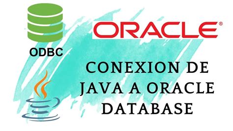 CONEXION ORACLE CON JAVA NETBEANS YouTube