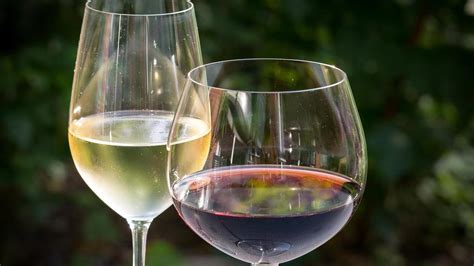 Es realmente bueno tomar una copa de vino al día Información