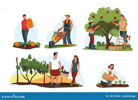Cosecha De OtoÃo Concepto AgrÃcola Dibujo De Dibujos Animados