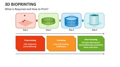 3D Bioprinting PowerPoint And Google Slides Template PPT Slides