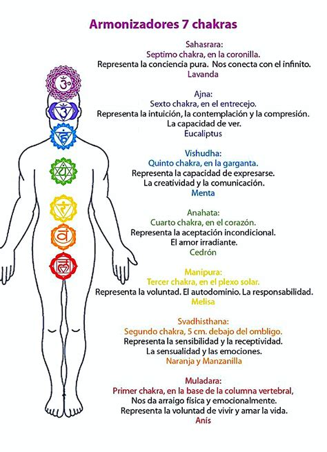 Que Es Chakra Y Cu Les Son Los Principales F Rmula Secuoya