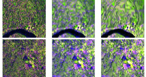 despeckling polarimetric sar data using a multistream complex valued fully convolutional network