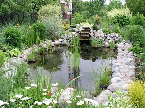 Ways To Make Your Yard More Sustainable Greenscape Geeks