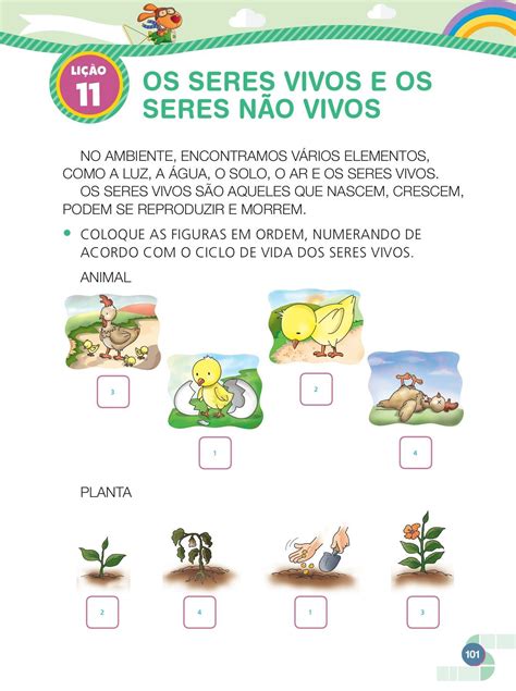 Exercícios Características Dos Seres Vivos 1o Ano Pdf REVOEDUCA
