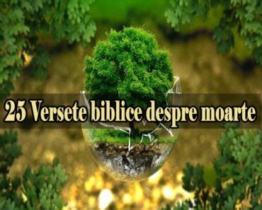 50 De Versete Biblice Despre Dumnezeu Calea Ingusta