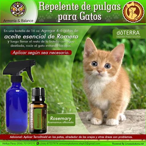 Pin de Martha Olivares en Doterra Aceites esenciales doterra Guía de