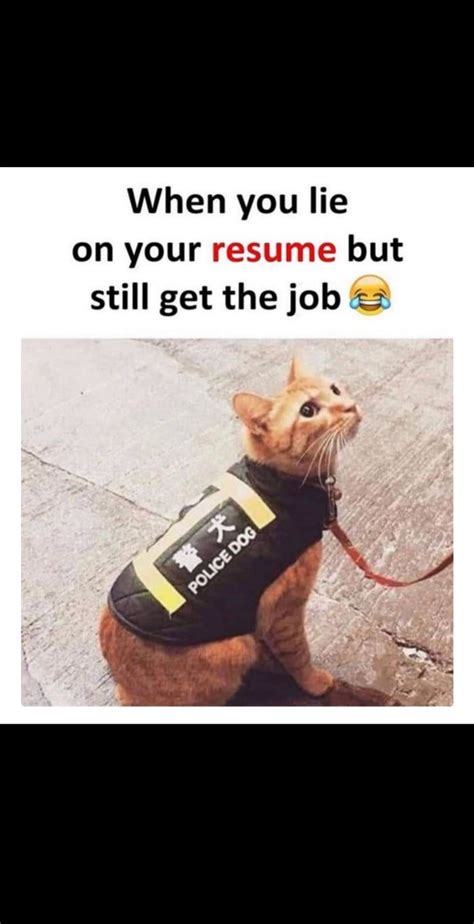Mm Woof Gag